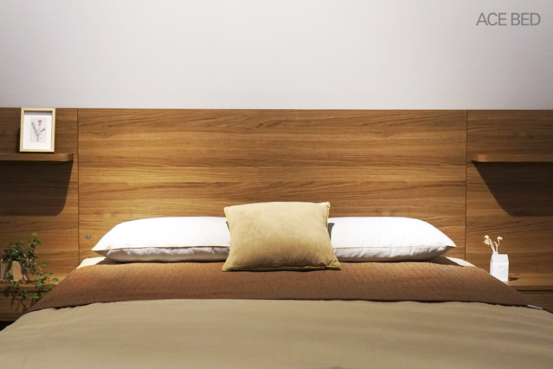 미세먼지 OUT! 정화식물로 홈스타일링하는 우리집 : 네이버 블로그