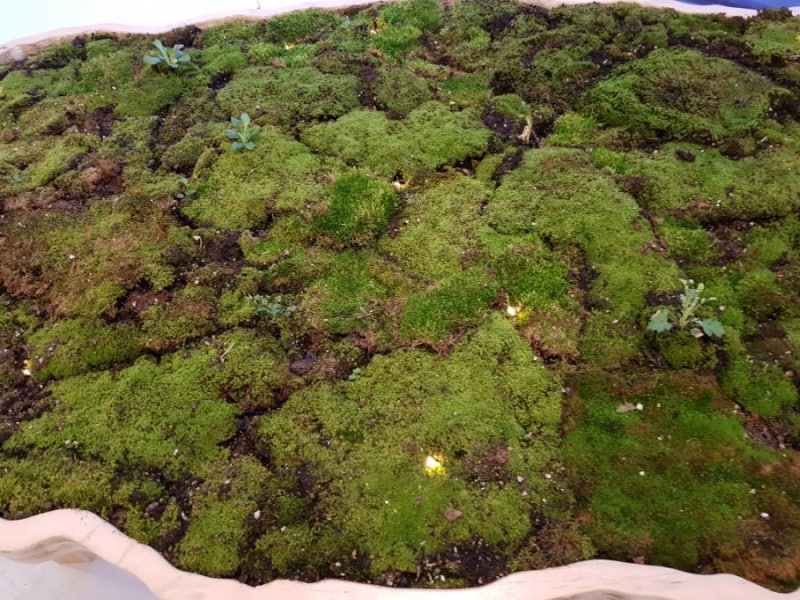 통의동 보안여관 ART SPACE BOAN 2 김지수 개인전 : 네이버 블로그