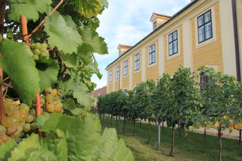 Wieninger, Nussberg Wiener Gemischter Satz DAC, Vienna, Austria, 2013 ...