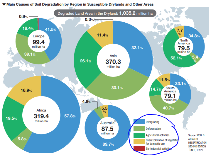 사막화(desertification)의 반대말이 green이라? : 네이버 블로그
