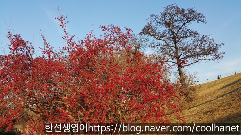 2018학년도 경찰대 영어 6번 문법문제 풀이 송파 잠실 강동 중고등영어학원 네이버 블로그