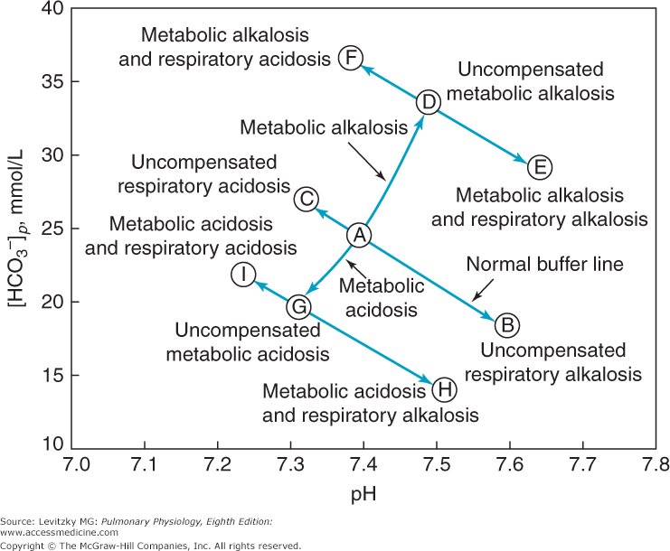 ABGA(Artery Blood Gas Analysis) - 동맥혈가스분석 목적,해석,결과,검사방법에 대해서. : 네이버 블로그