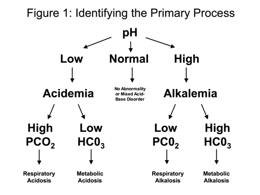ABGA(Artery Blood Gas Analysis) - 동맥혈가스분석 목적,해석,결과,검사방법에 대해서. : 네이버 블로그