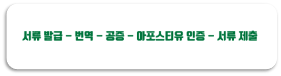 발급번역공증대사관인증아포스티유 여권발급기록증명서의 모든 것 네이버 블로그