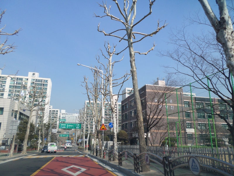 대치동 업데이트 3자연환경을 갖춘 개포동과 일원동 강남보금자리 네이버 블로그
