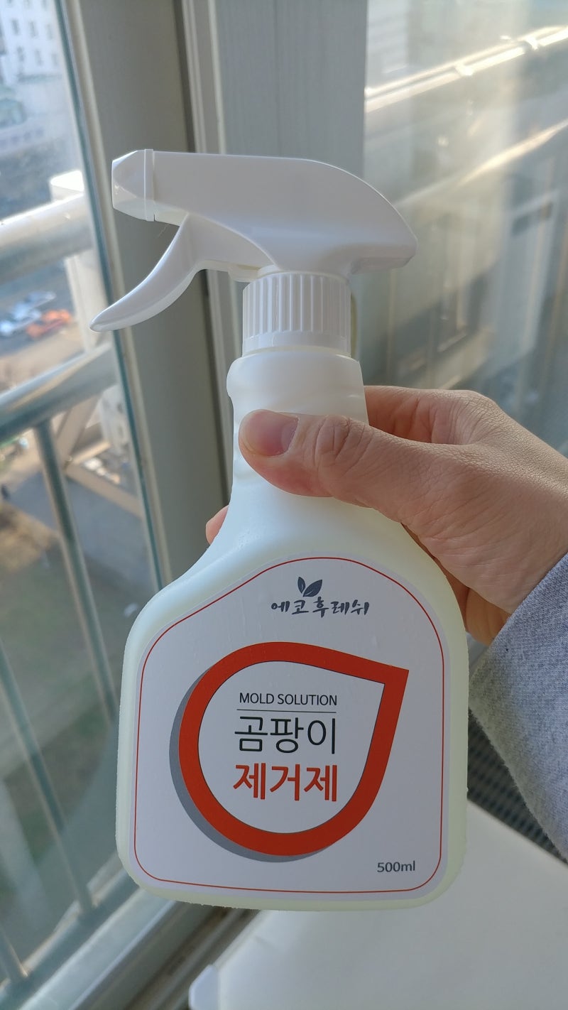 에코후레쉬 곰팡이 제거제 곰팡이 항균제 곰팡이 방지제 3종 세트로 베란다 곰팡이 박멸 네이버 블로그