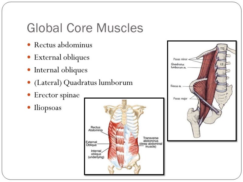 Core에서 Local muscle과 Global muscle : 네이버 블로그