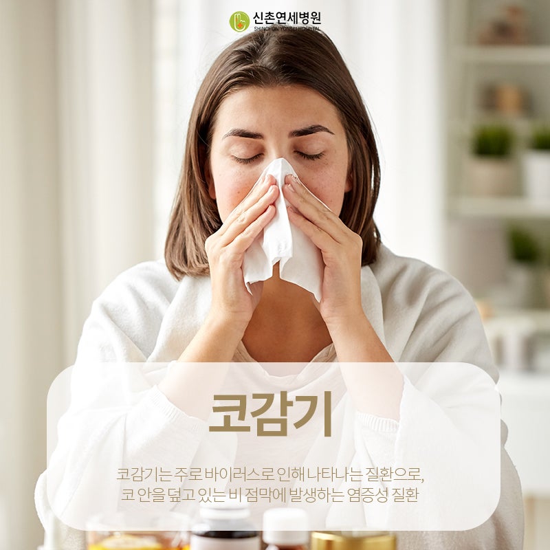 마포구내과 코감기와 비염의 차이점은 무엇일까요 신촌연세병원과 함께 알아봅시다 네이버 블로그