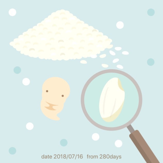 임신 초기 5주~11주 임신2개월3개월 증상 및 임산부 일기 초음파 확인 입덧 지옥 시작 네이버 블로그