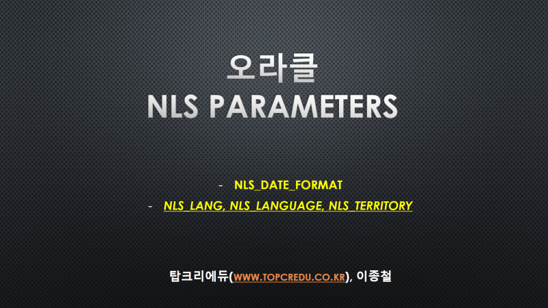(오라클 NLS 파라미터)NLS_DATE_FORMAT, NLS_LANG, NLS_LANGUAGE, NLS_TERRITORY ...