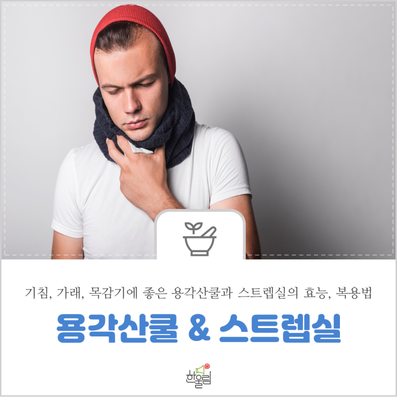 기침 가래 목감기에 먹는 약 용각산쿨과 스트렙실 네이버 블로그