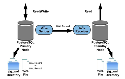 PostgreSQL Cluster (Slony-I , pgpool-II, Replication) : 네이버 블로그
