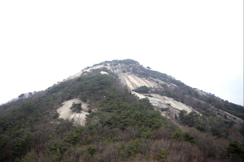 부토라 윙 브라운(BUTORA Wing Brown) - 불암산 릿지 : 네이버 블로그