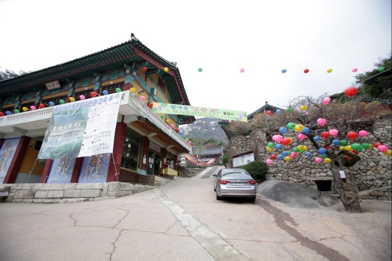 부토라 윙 브라운(BUTORA Wing Brown) - 불암산 릿지 : 네이버 블로그