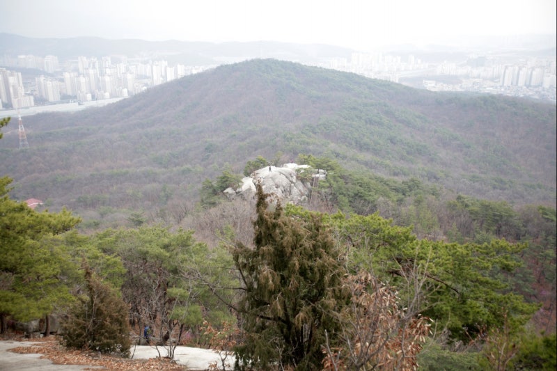 부토라 윙 브라운(BUTORA Wing Brown) - 불암산 릿지 : 네이버 블로그