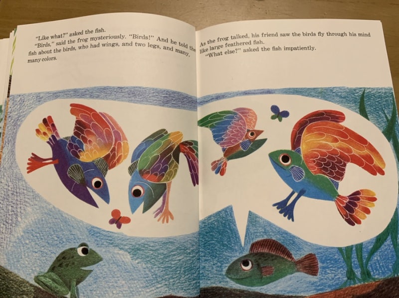 Fish is fish 물고기는 물고기야 : 네이버 블로그