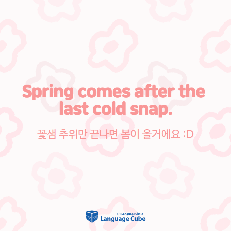 [생활영어회화/왕초보영어학원] 벚꽃, 봄 관련 표현들 #cherry blossom : 네이버 블로그
