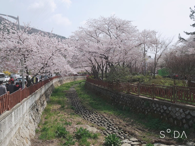 중학교 고등학교 학칙 위반 선도위원회 대응방법 및 재심 행정심판 절차흡연 교권침해 벌점 누적 절도 교사 지시 불이행