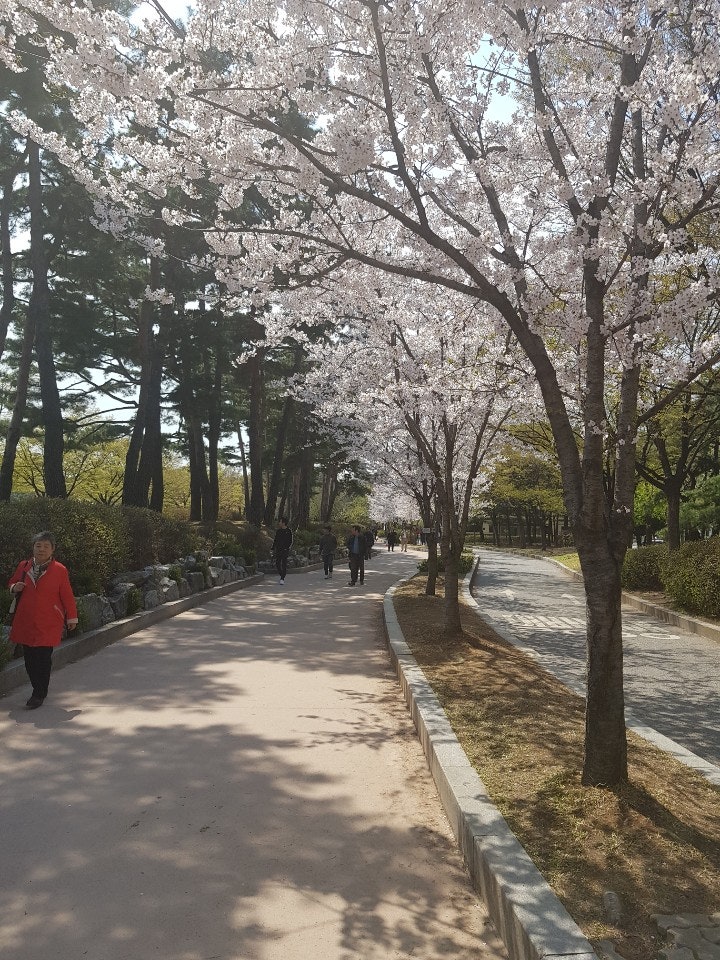 징계소명서 거래처 계약건과 관련하여 금품을 수수한 경우 배임혐의 징계조사 대응 성공사례 네이버 블로그
