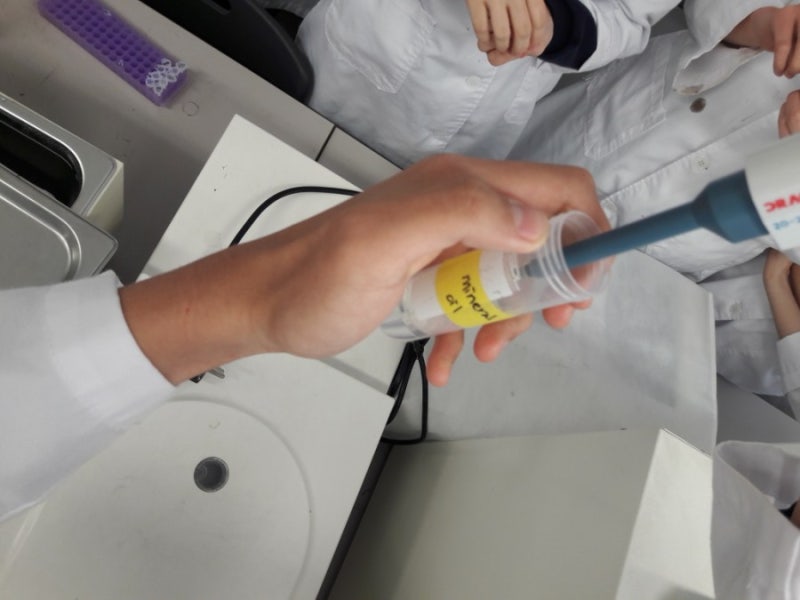 고등학교 생명과학실험 ⑧ Pcrpolymerase Chain Reaction Dna 중합효소 연쇄반응 실험 네이버 블로그