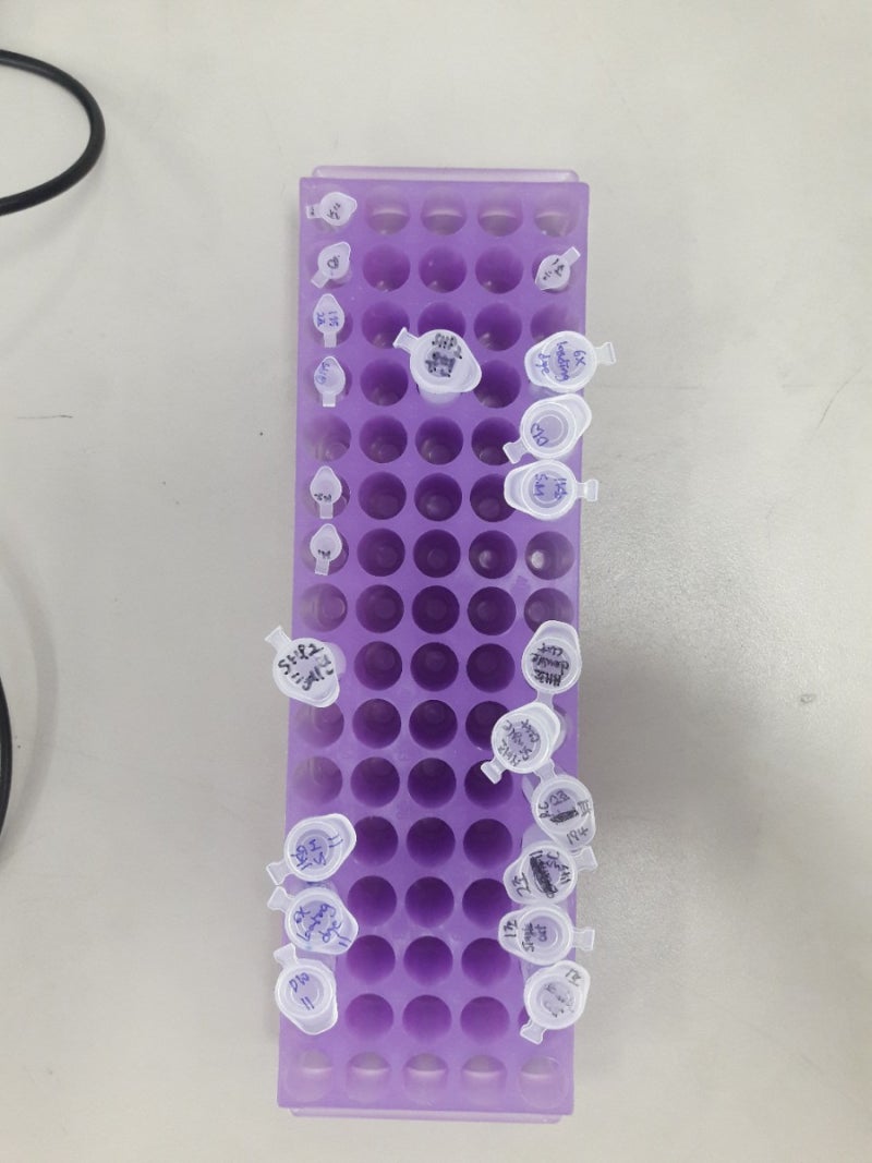 고등학교 생명과학실험 ⑧ Pcrpolymerase Chain Reaction Dna 중합효소 연쇄반응 실험 네이버 블로그
