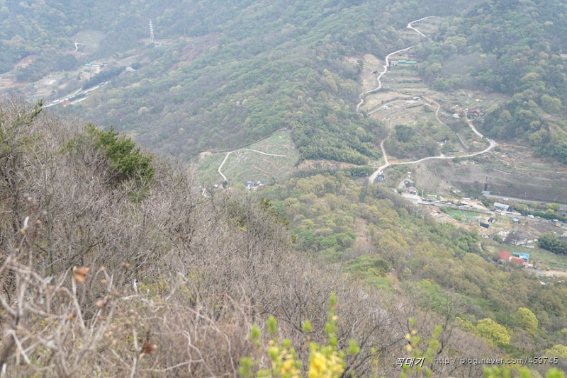 창원 천주산 진달래 산행 638m 등산코스 천주봉 용지봉 축제 네이버 블로그