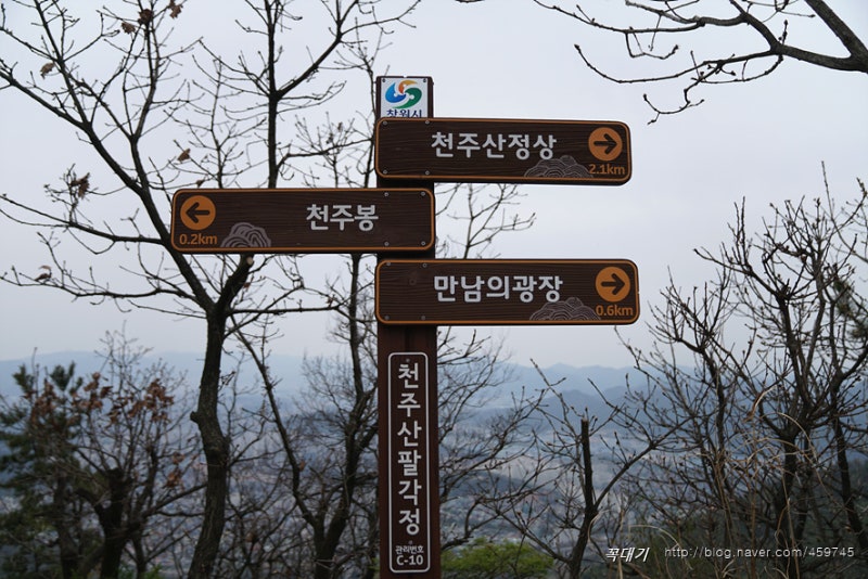 창원 천주산 진달래 산행 638m 등산코스 천주봉 용지봉 축제 네이버 블로그