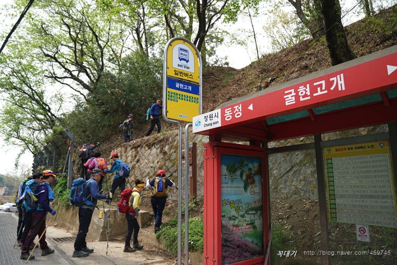 창원 천주산 진달래 산행 638m 등산코스 천주봉 용지봉 축제 네이버 블로그