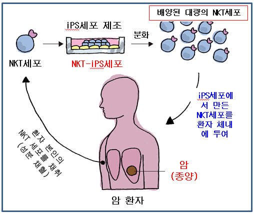 폐암췌장암고형암의 전이와 재발 예방에 효과적인 Inkt치료 개발자 이야기 네이버 블로그