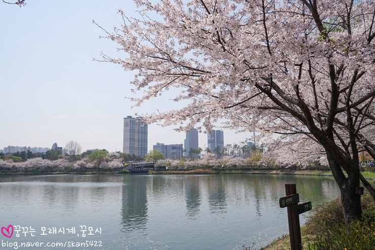 석촌호수 벚꽃축제롯데월드타워 스카이31 푸드애비뉴 네이버 블로그