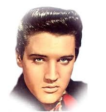 Elvis Operator (엘비스 연산자) in Kotlin : 네이버 블로그