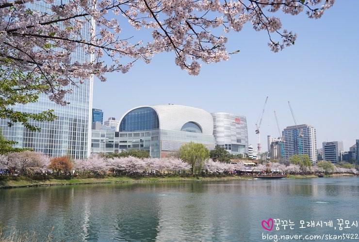 석촌호수 벚꽃축제롯데월드타워 스카이31 푸드애비뉴 네이버 블로그