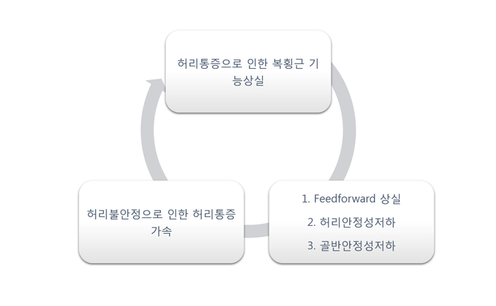 복횡근배가로근 코어근육운동의 핵심 허리 통증 운동의 핵심 네이버 블로그