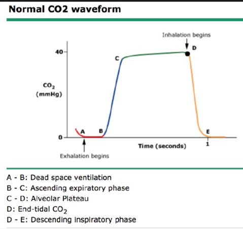 ETCO2(=End-tidal CO2) : 네이버 블로그