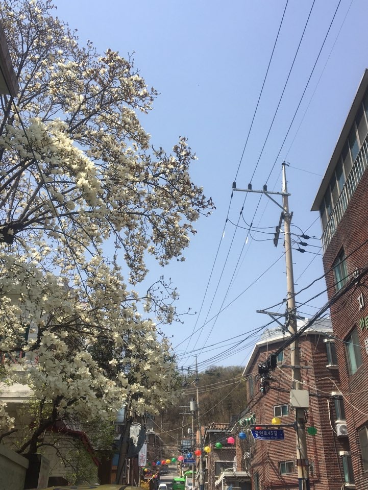 2019년 갈현1구역갈현동 재개발의 봄오른쪽 네이버 블로그