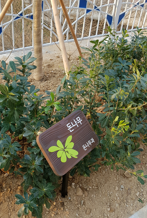 진주 간판 나무공작소 자연친화적인 나무간판나무현판 네이버 블로그