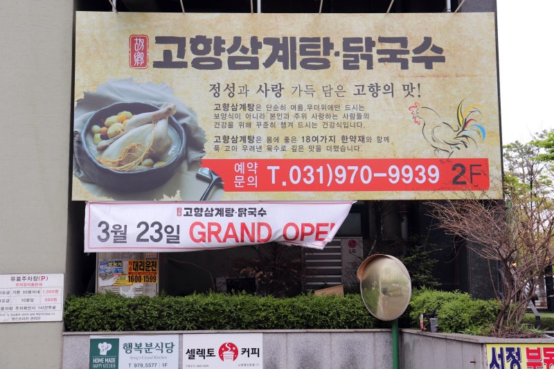 행신동 삼계탕 맛집 고향삼계탕 덕양구닭국수 네이버 블로그