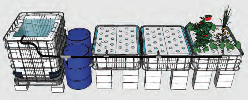 아쿠아포닉스 NFT와 DWC : 네이버 블로그