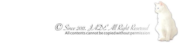 ·고양이 췌장염· spec fPL/ SNAP fPL 검사/idexx : 네이버 블로그