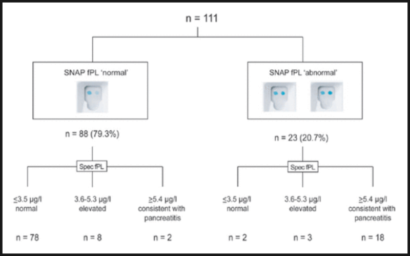 ·고양이 췌장염· spec fPL/ SNAP fPL 검사/idexx : 네이버 블로그