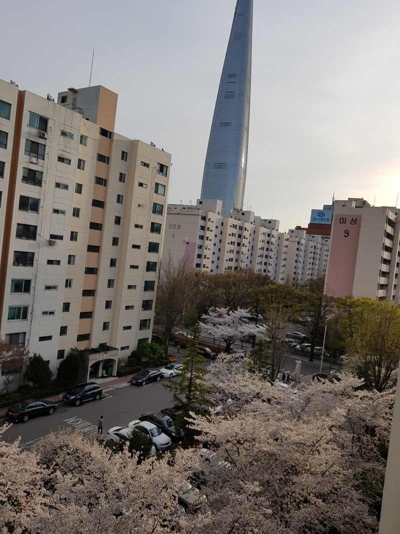 잠실 미성크로바 잠실진주아파트 매수시 투기과열지구 5년 재당첨 금지 확인하세요 네이버 블로그