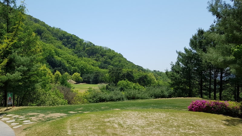 센추리21CC - 레이크, 파인 코스 : 네이버 블로그