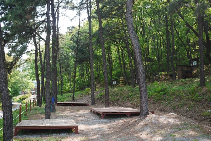 청주 가볼만한 곳 국립 상당산성 자연휴양림 12 네이버 블로그