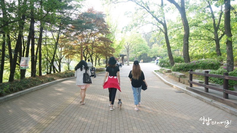 성남여행 멀리 갈 필요 있나요 가족들과 그늘막 치고 놀아요 분당중앙공원 100 즐기기 네이버 블로그