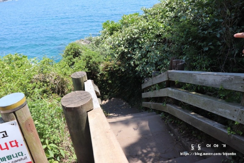제주도 애견동반여행 둘째날 표선해수욕장과 황우지선녀탕 네이버 블로그