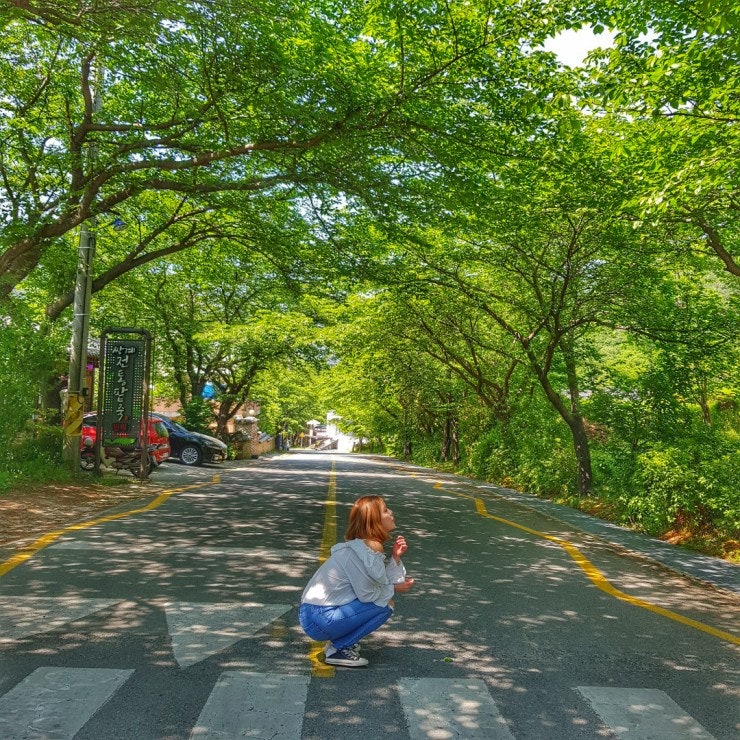 제임스진스 태연청바지 핏예쁜 인생청바지 등극 네이버 블로그