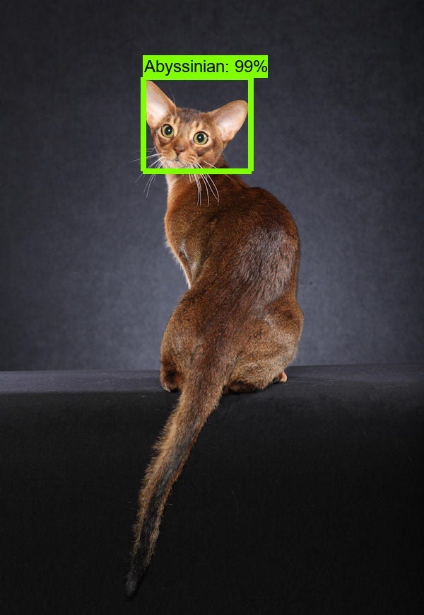 [Tensorflow / TF] Object Detection API 사용하기 (2) : 네이버 블로그