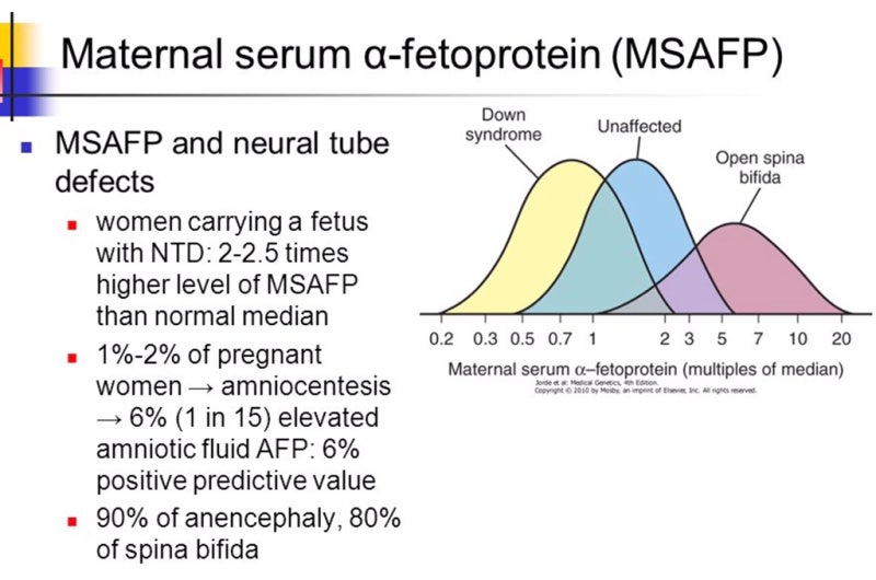 AFP(alpha-fetoprotein)를 통한 산전 진단 : 네이버 블로그