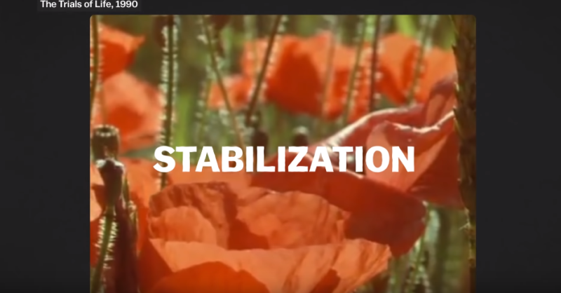 BBC 동물 다큐멘터리가 만들어지는 과정 : 네이버 블로그