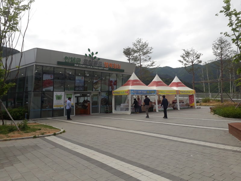 내린천휴게소 블루베리농장 친환경블루베리 청양친환경블루베리농장 네이버 블로그